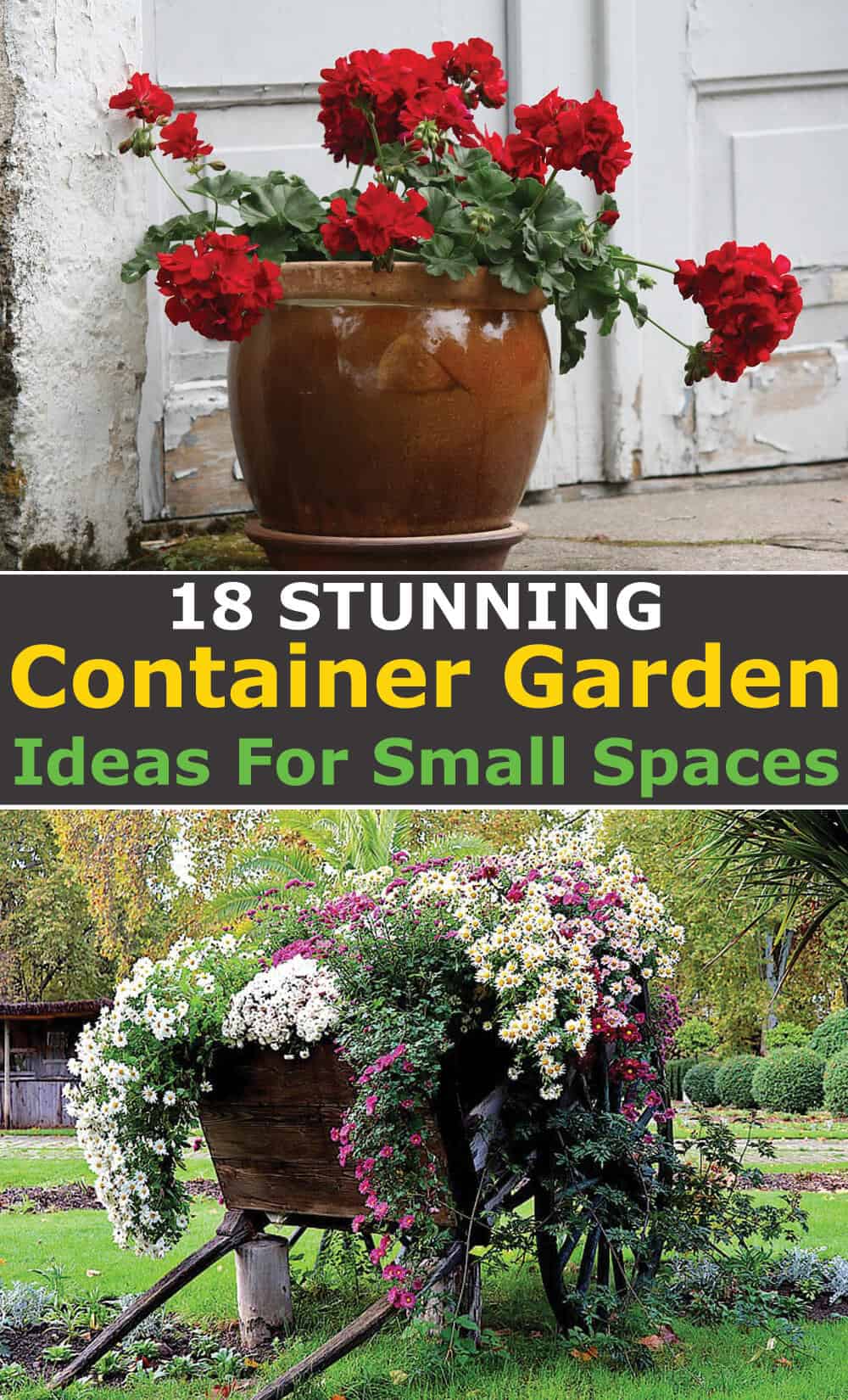 18 Stunning Container Gardening Ideas for Small Spaces - Hort Zone