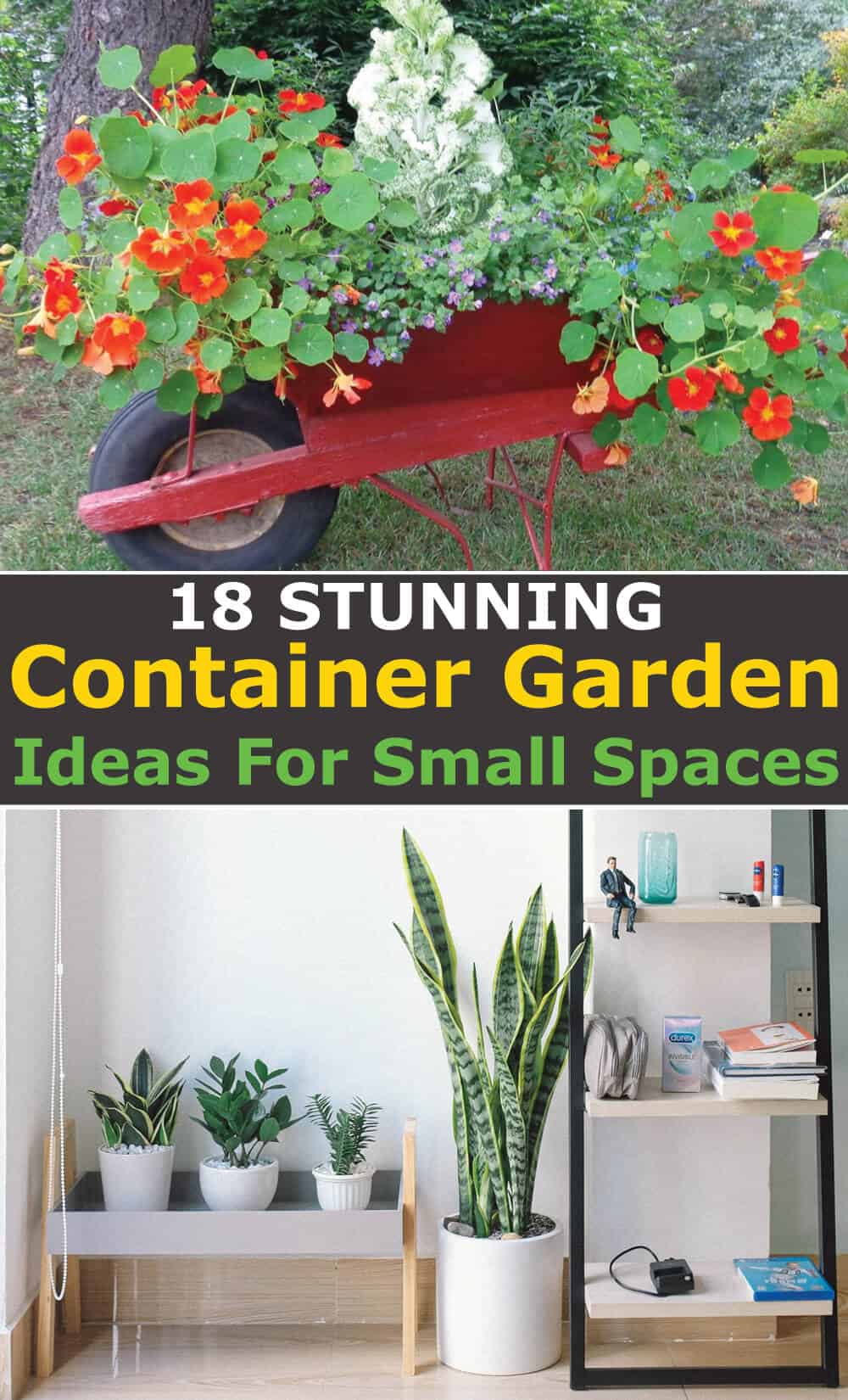 18 Stunning Container Gardening Ideas for Small Spaces - Hort Zone