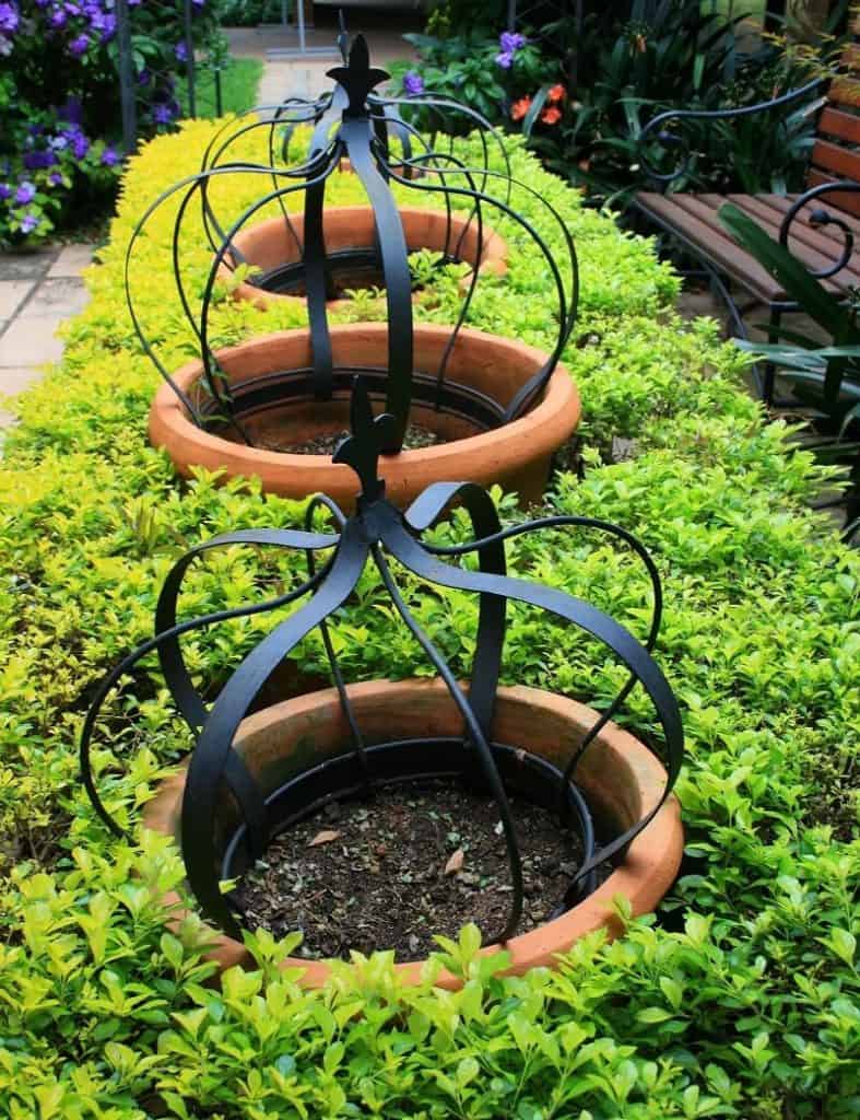 18 Stunning Container Gardening Ideas for Small Spaces - Hort Zone