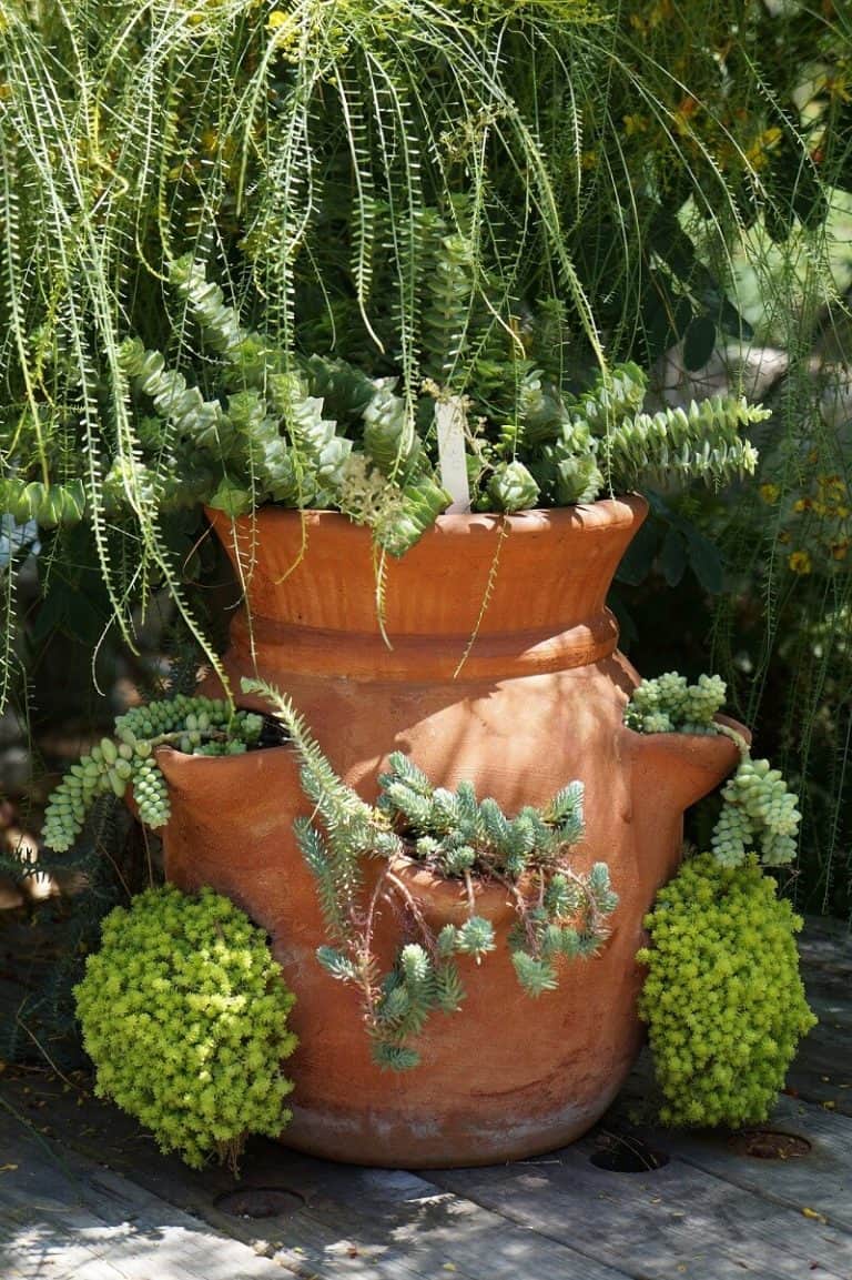 18 Stunning Container Gardening Ideas for Small Spaces - Hort Zone