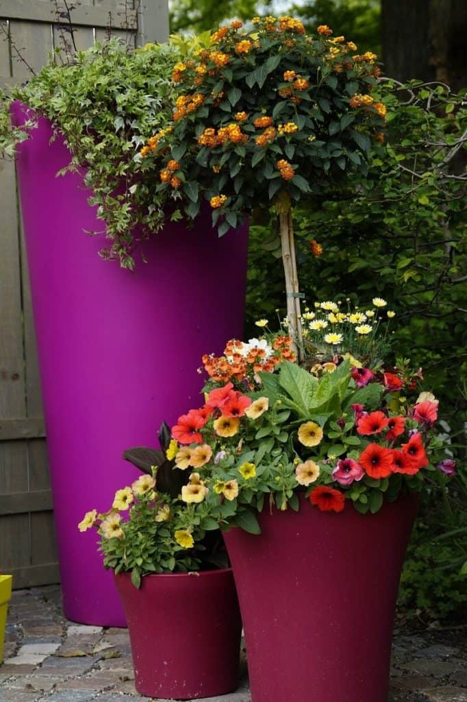 18 Stunning Container Gardening Ideas for Small Spaces - Hort Zone