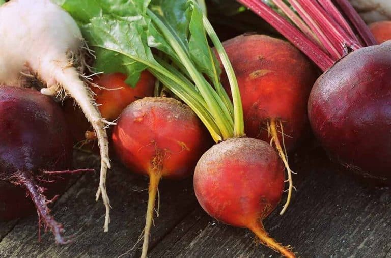 8+ Types of Beets to Grow in Your Garden (with Pictures) - Hort Zone
