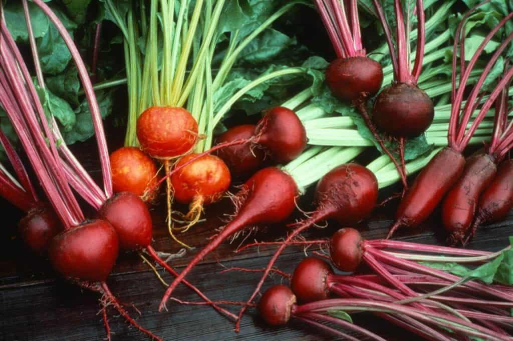 8+ Types of Beets to Grow in Your Garden (with Pictures) - Hort Zone