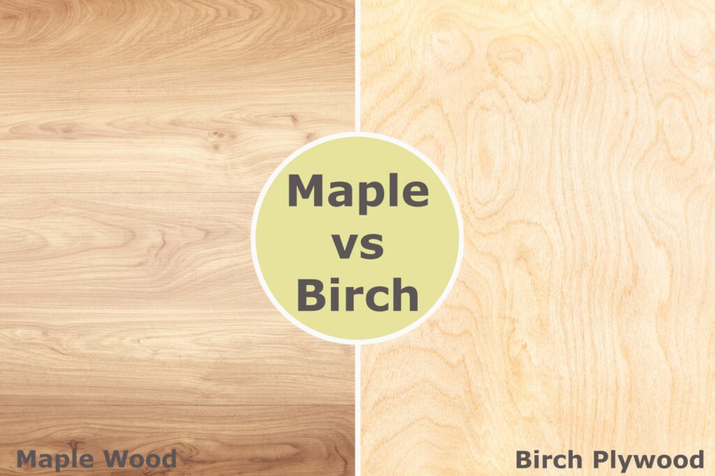 Maple vs Birch Plywood: Which is Superior? - Hort Zone