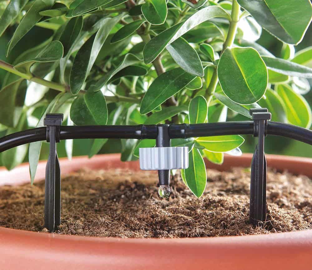7 Best Options for an Automatic Plant Watering System - Hort Zone