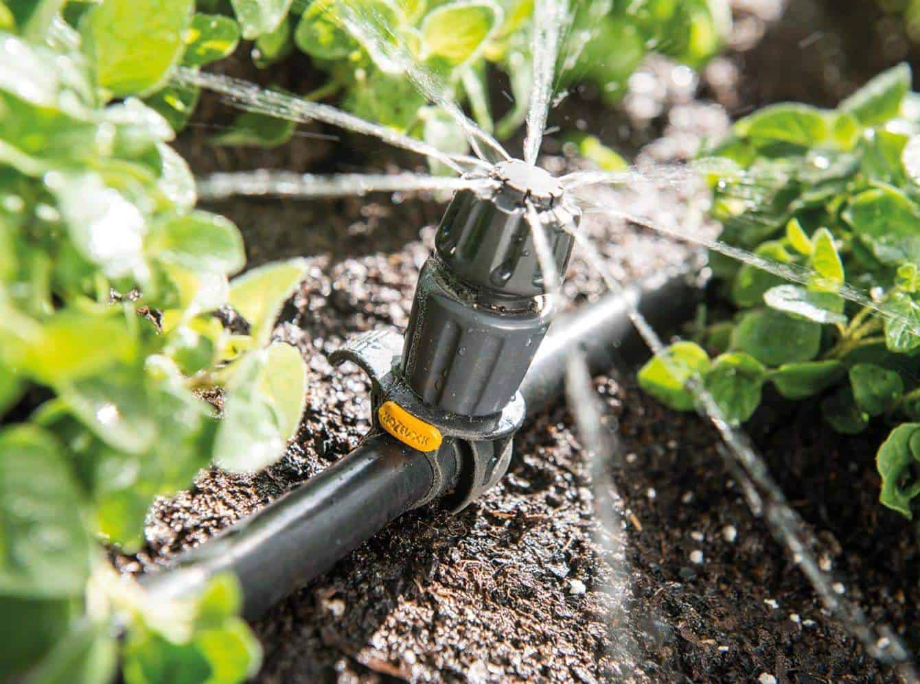 7 Best Options for an Automatic Plant Watering System - Hort Zone