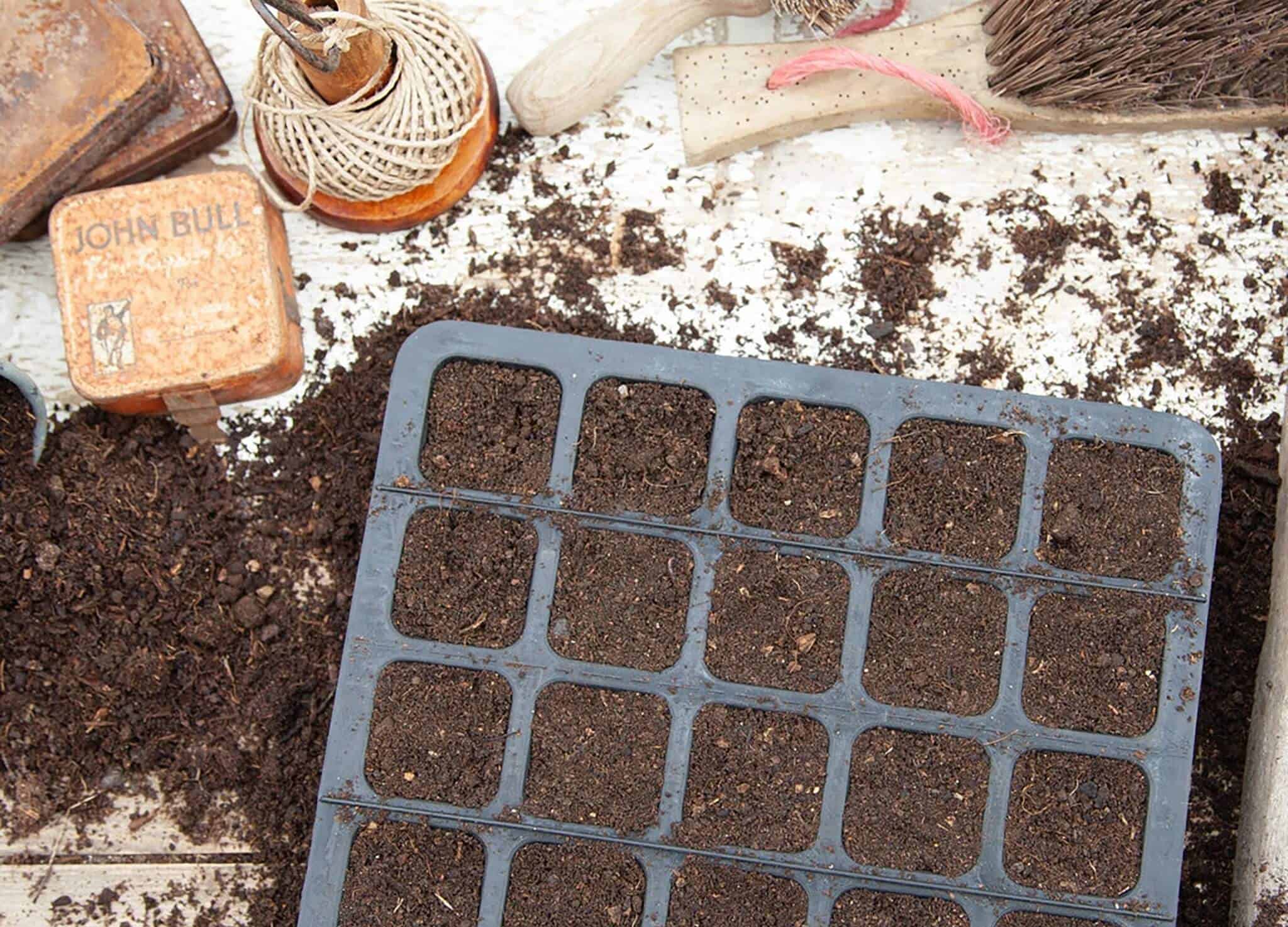 A Definitive Guide to Indoor Seed Starting for Beginners - Hort Zone