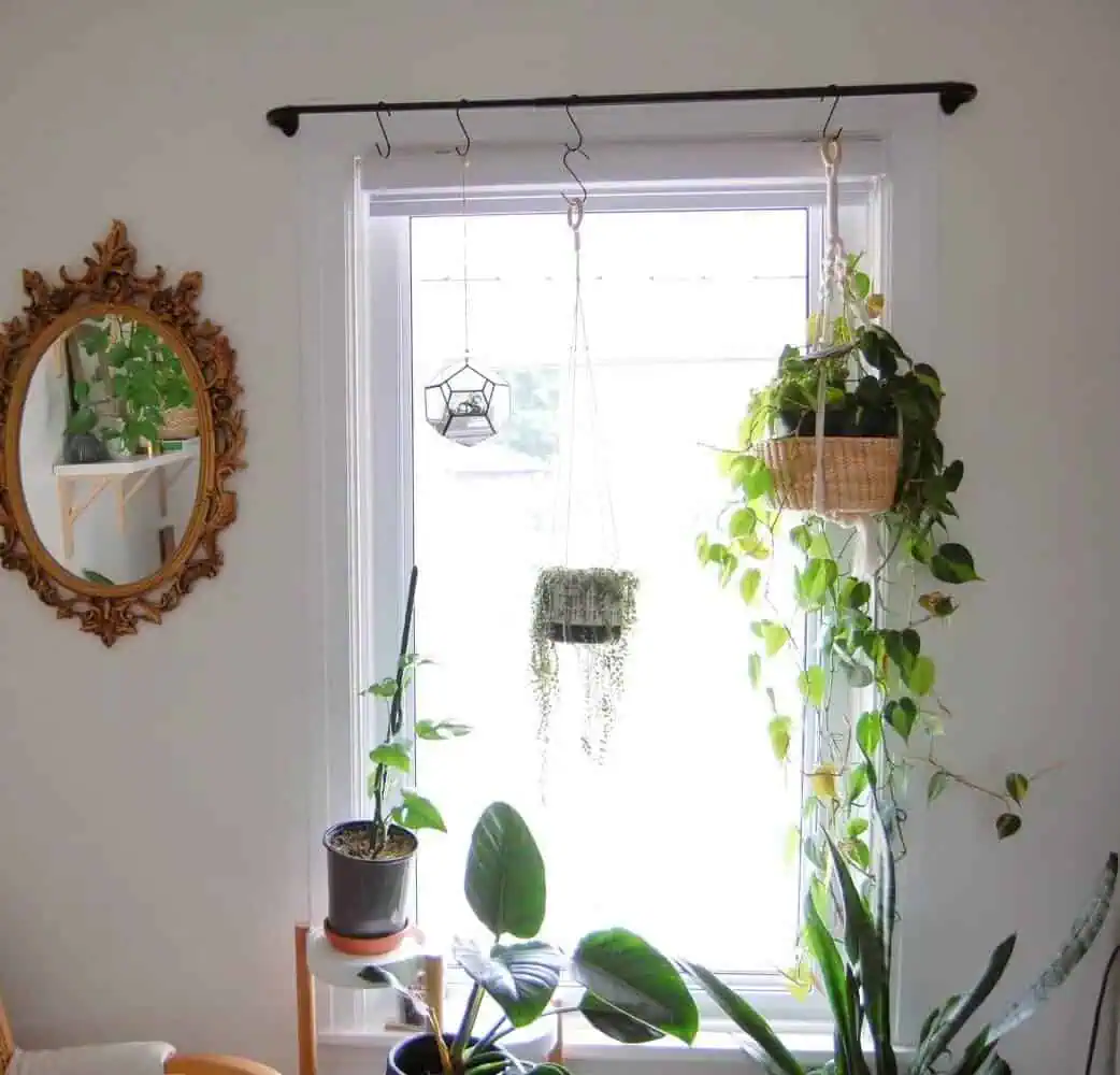 15 Indoor Hanging Plant Ideas to Spruce Up Your Décor - Hort Zone